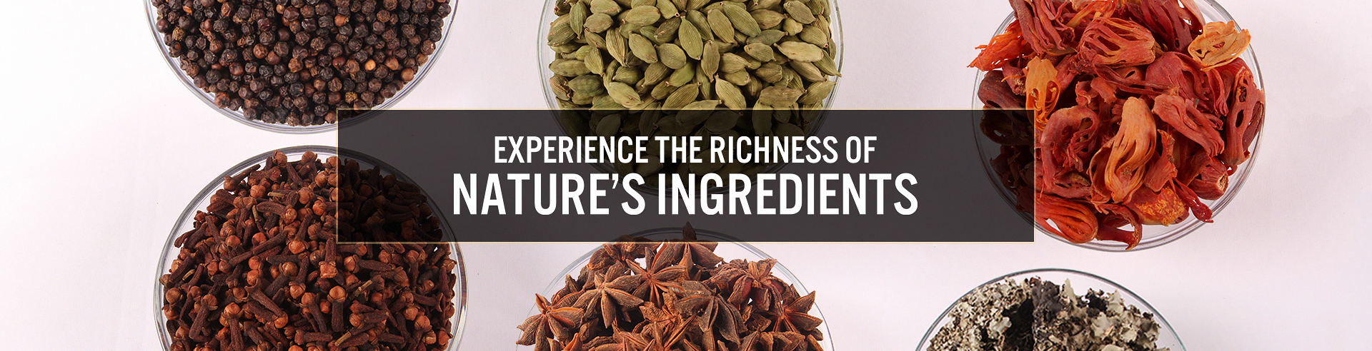 Manak Mewa – The Dryfruit People